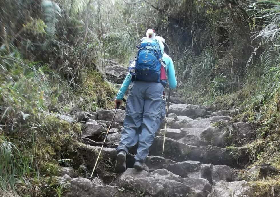 How to Train for a Multi-day Hiking Trip - Trailblazer Wellness